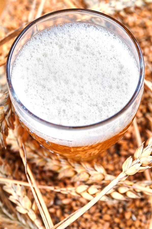 Weizenbier im Glas stockbild. Bild von taunass, tropfen - 74157079