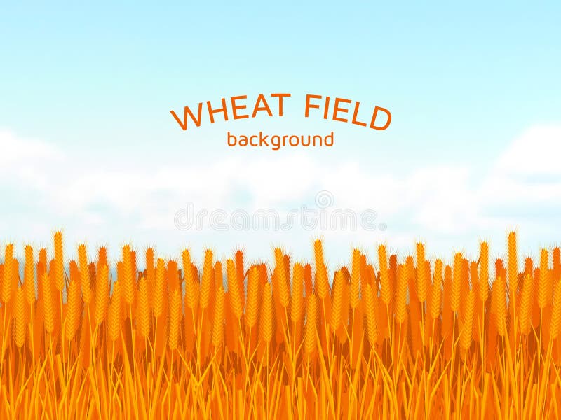 Und Weizenfeld Stock Illustrationen, Vektoren, & Kliparts - 215 Stock ...