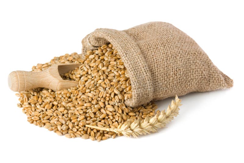 Garben Weizen stockbild. Bild von spitze, herbst, pflegen - 27063937