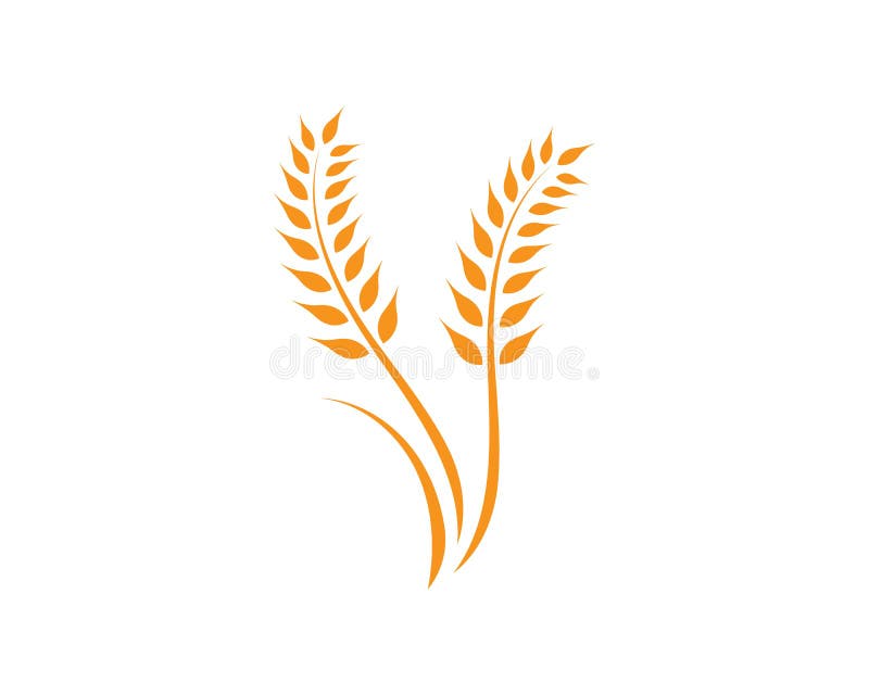 Weizen-Logo vektor abbildung. Illustration von symbol - 160024471