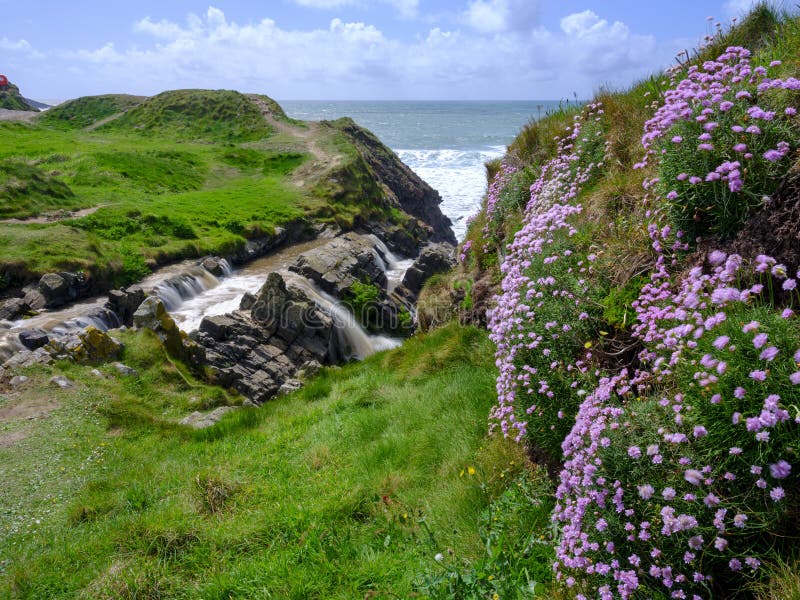 Welcombe Mouth Waterfall In The Hartland Peninsula North Devon Stock