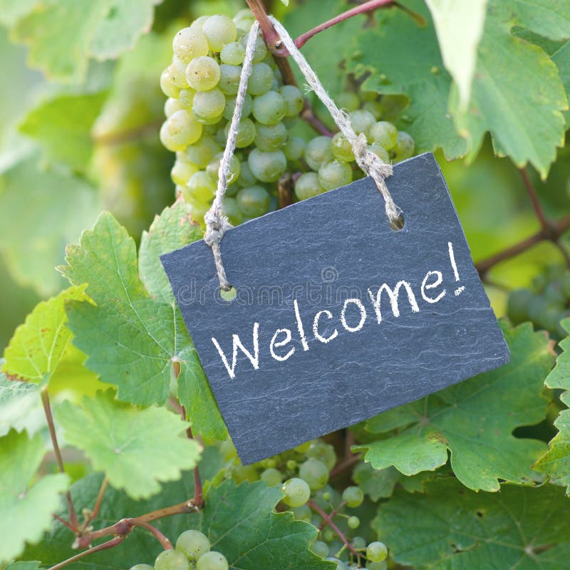 Welcome stock image. Image of glass, label, cork, grapevine - 27134391