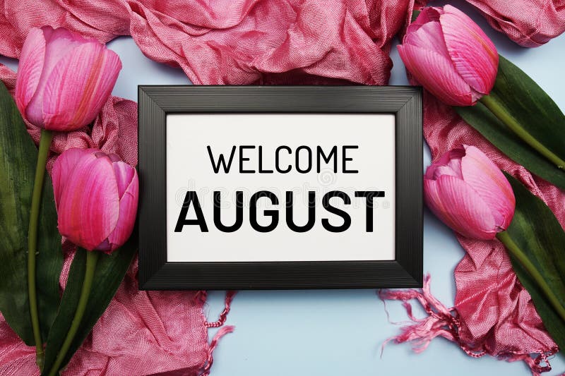 Welcome August Text Message with Pink Tulip Flower on Blue Background ...