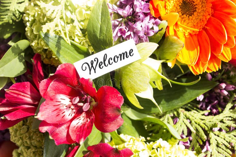 Welcome Card with Bouquet of Pink Roses Stock Image - Image of greeting ...