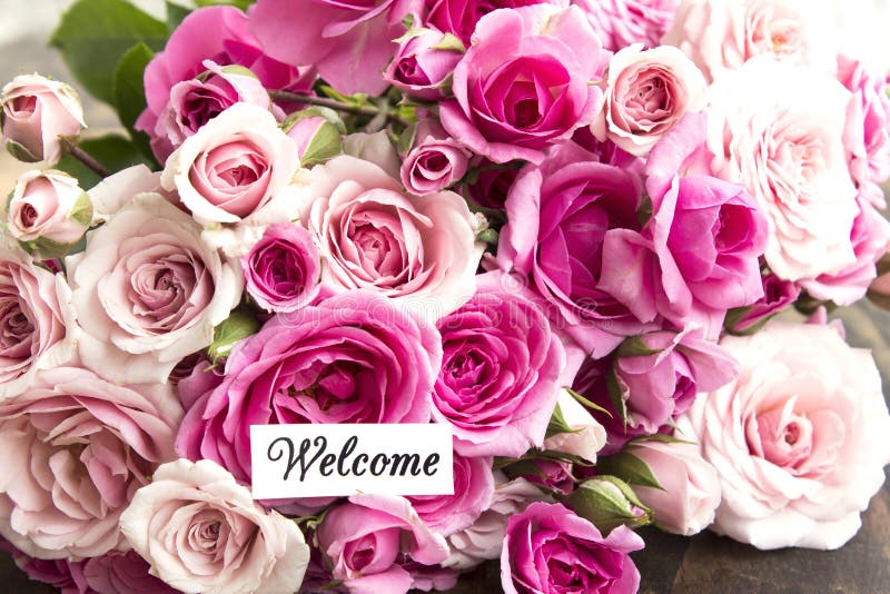 Welcome Card with Bouquet of Pink Roses Stock Image - Image of greeting ...