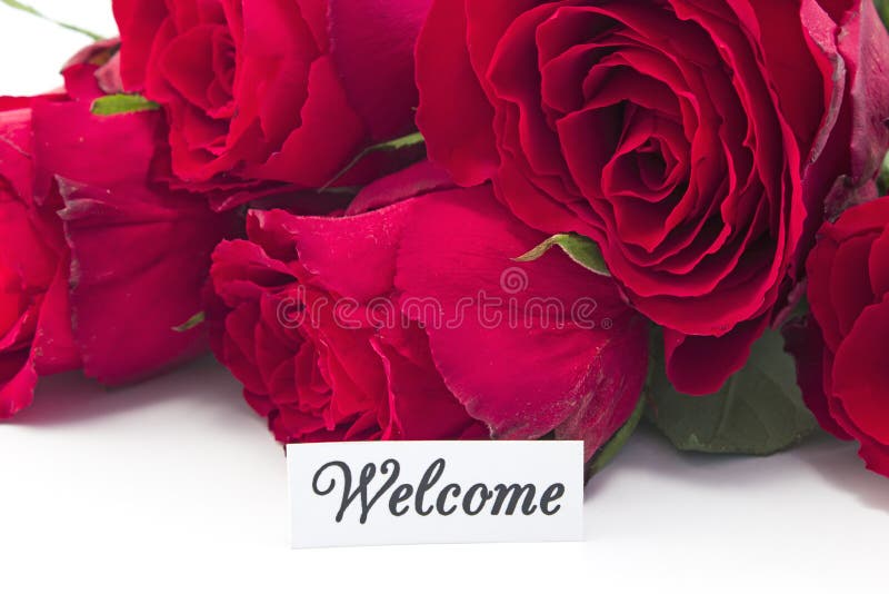 4,433 Welcome Bouquet Stock Photos - Free & Royalty-Free Stock Photos ...