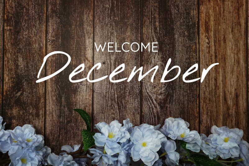 Welcome December Text and Blue Flower Decoration Stock Photo - Image of ...