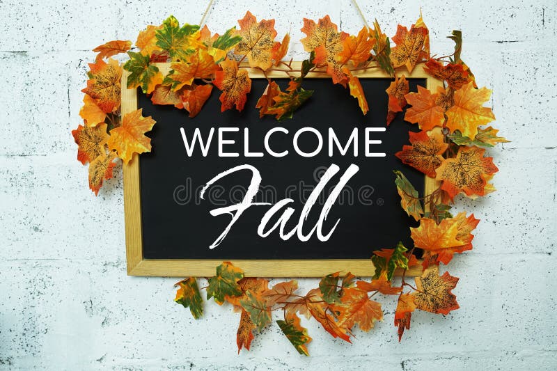 Welcome Fall Text Message on Chalkboard with Maple Leaf Decoration ...