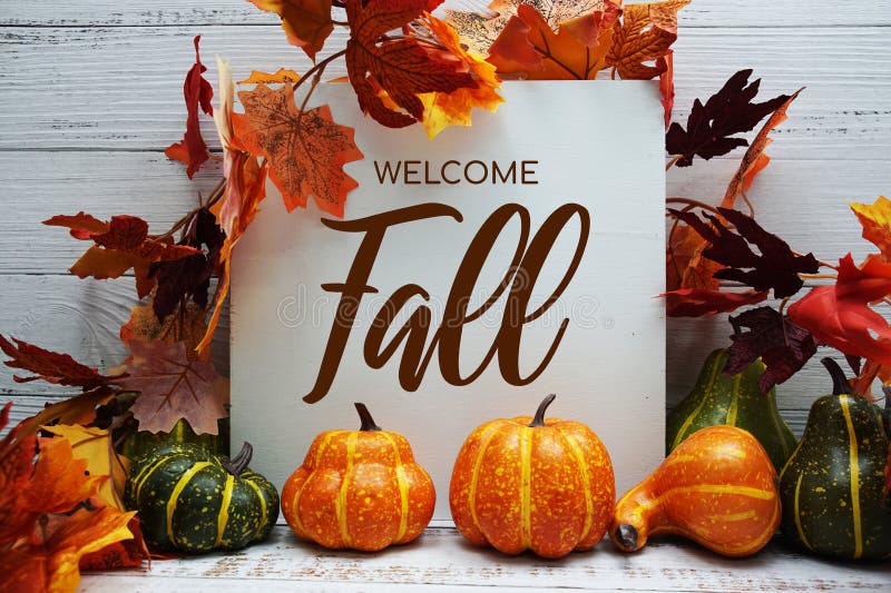 Welcome Fall Text with Pumpkins and Maple Leaf Decoration on Wooden ...