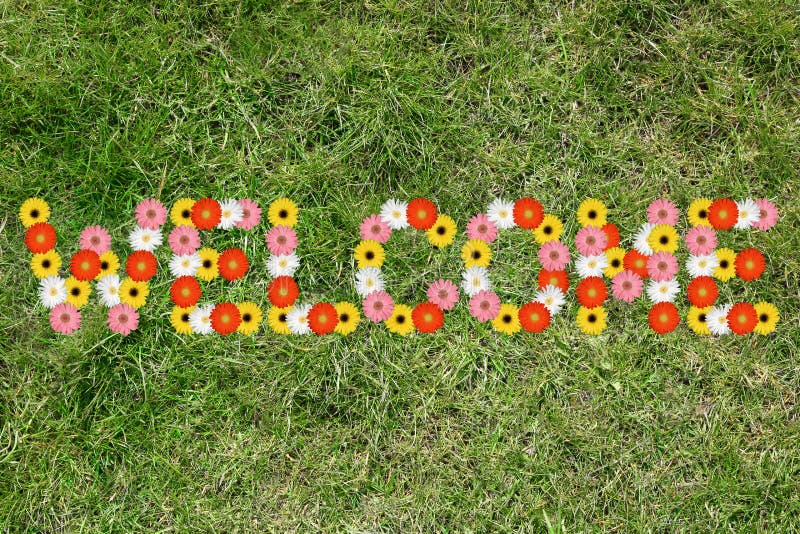 Welcome with Flowers Flower Spring Meadow Grass Nature Stock Photo ...
