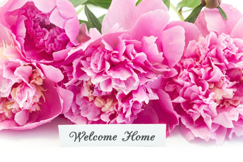 Welcome Home Card with Bouquet of Pink Peonies Stock Photo - Image of ...