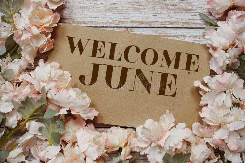 Black White Print Sun Flowers Stock Photos - Free & Royalty-Free Stock ...