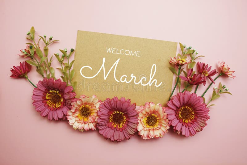 Welcome March Typography Text with Flowers on Pink Background Stock ...