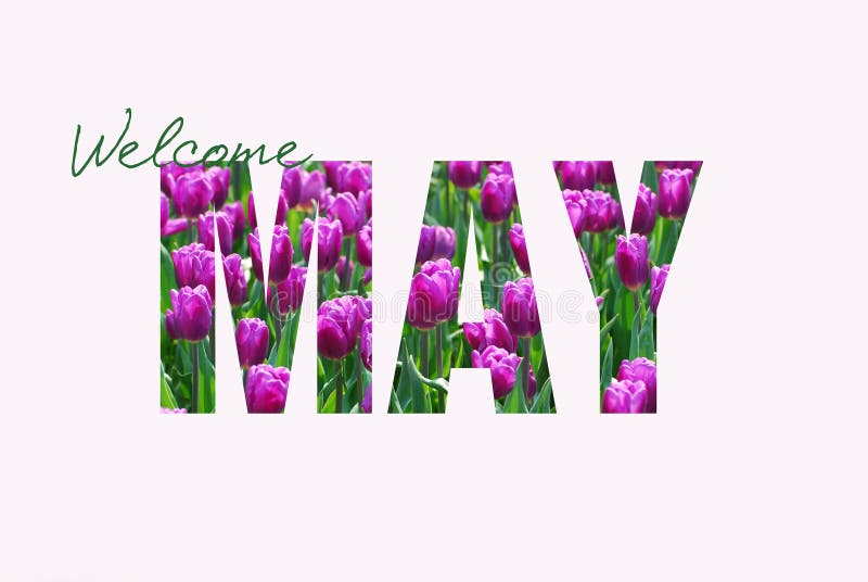Welcome May Background with Azalea Flowers Stock Image - Image of ...