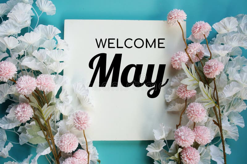 Welcome May Text with Flowers Blooming Top View on Blue Background ...