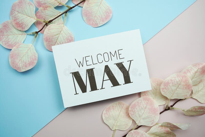 Welcome May Text Message with Artificial Leave on Blue and Pink ...