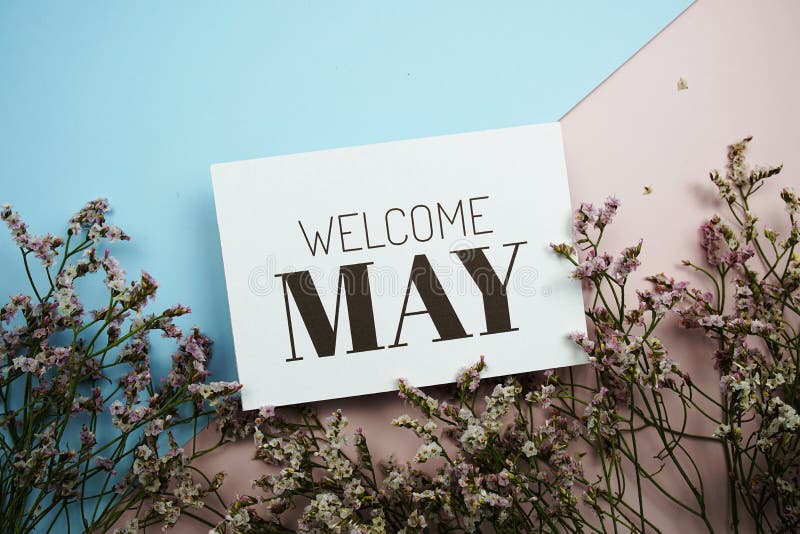 Welcome May Text Message with Flower on Blue and Pink Background Stock ...