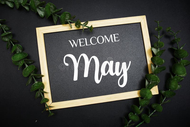 Welcome May Text Message on Wooden Blackboard with Green Leaf ...