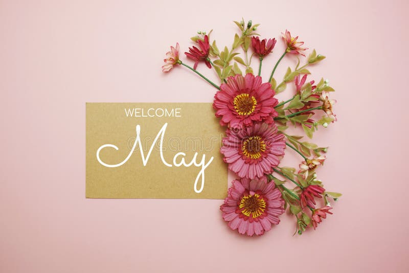 Welcome May Typography Text with Flowers on Pink Background Stock Photo ...
