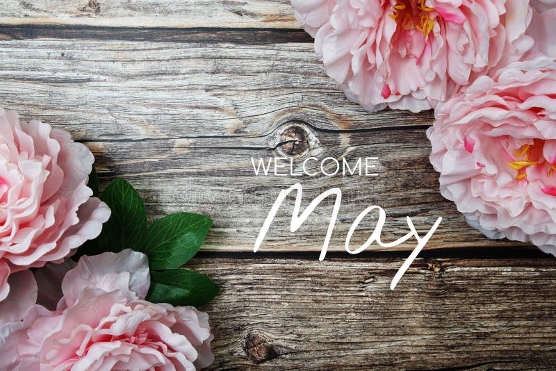 Welcome May Typography Text with Peony Flowers on Wooden Background ...