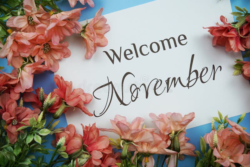 Welcome November Text with Pink Flower Frame on Blue Background Stock ...