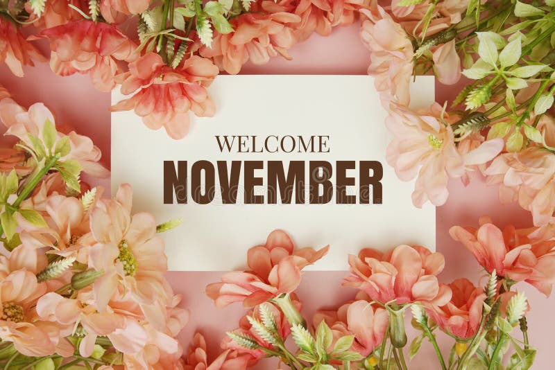 Welcome November Typography Text with Flowers Frame on Pink Background ...