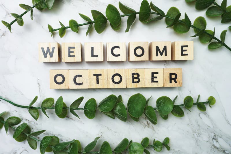 Welcome October Alphabet Letter with Green Leave Flat Lay on Marble ...