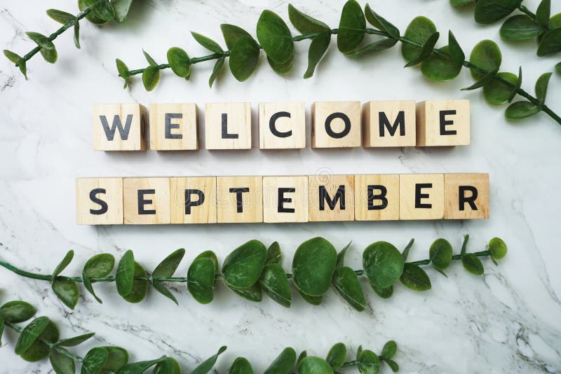 Welcome September Alphabet Letter with Green Leave Flat Lay on Marble ...
