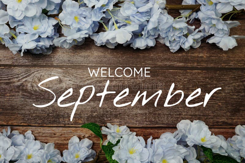 Welcome September Card Typography Text with Flower Bouquet on Pink ...