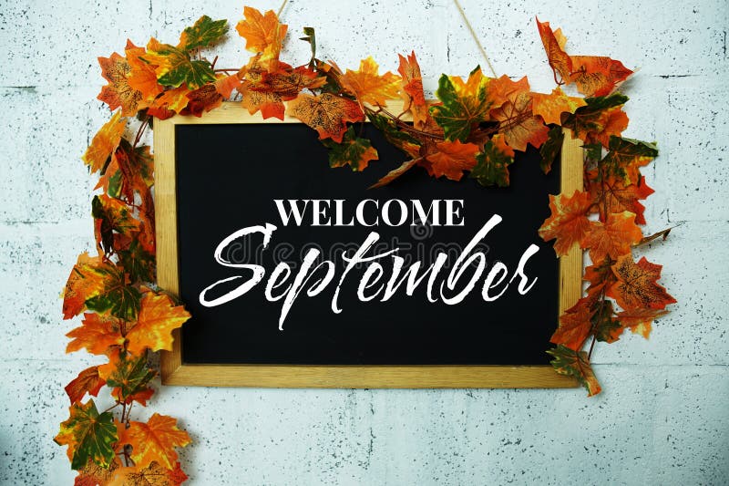 Welcome September Text Message on Blackboard Decoration with Maple ...