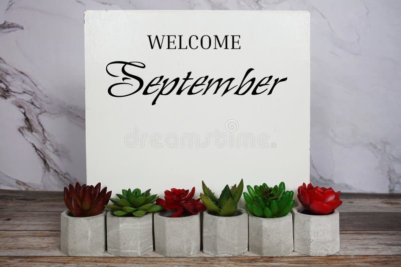 Welcome September Card Typography Text with Flower Bouquet on Pink ...
