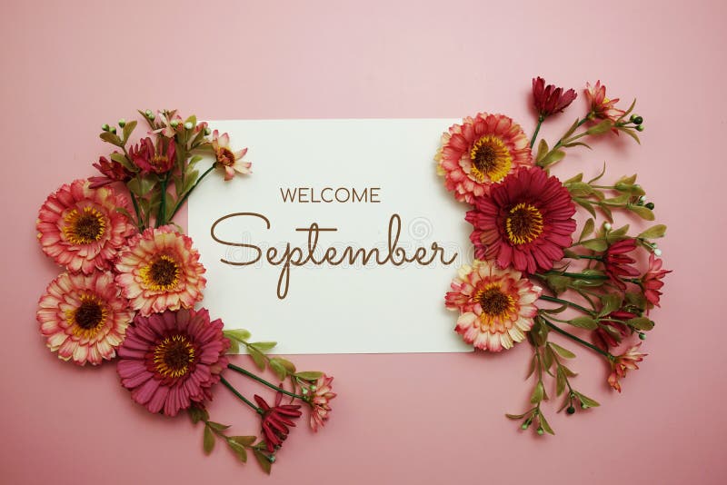 Welcome September Typography Text with Flowers on Pink Background Stock ...