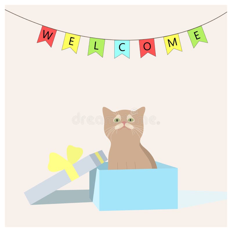 Welcome Sign with Colorful Flags on Rope and a Little Kitten in a Box ...