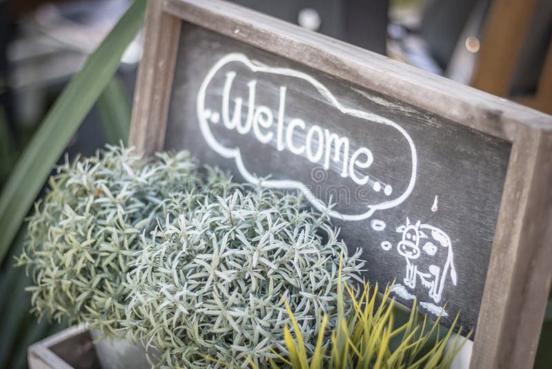 Welcome Sign and Green Tree in Pot Stock Image - Image of hand, concept ...