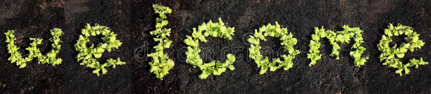 503 Welcome Word Green Plant Background Stock Photos - Free & Royalty ...