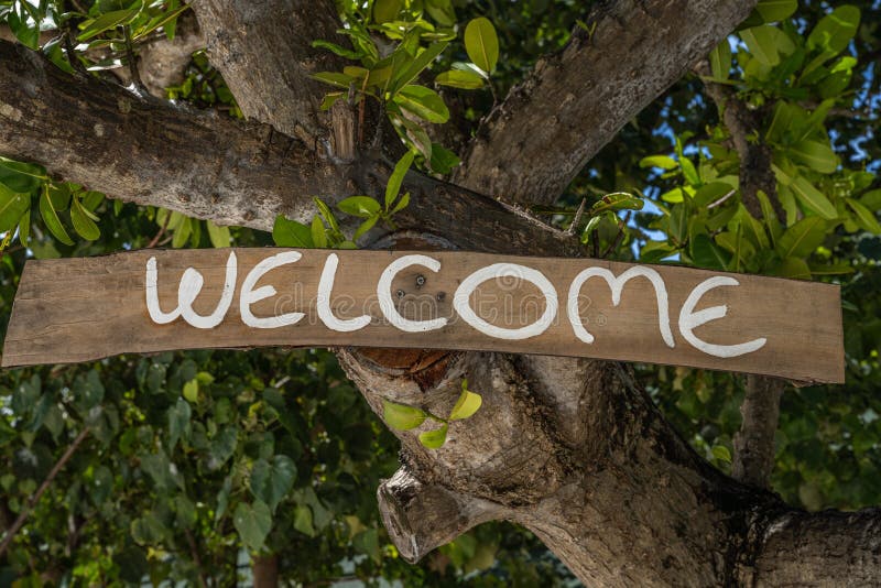 Tree Welcome Sign Wood Welcome Sign Hanging Tree Forest Stock Photos