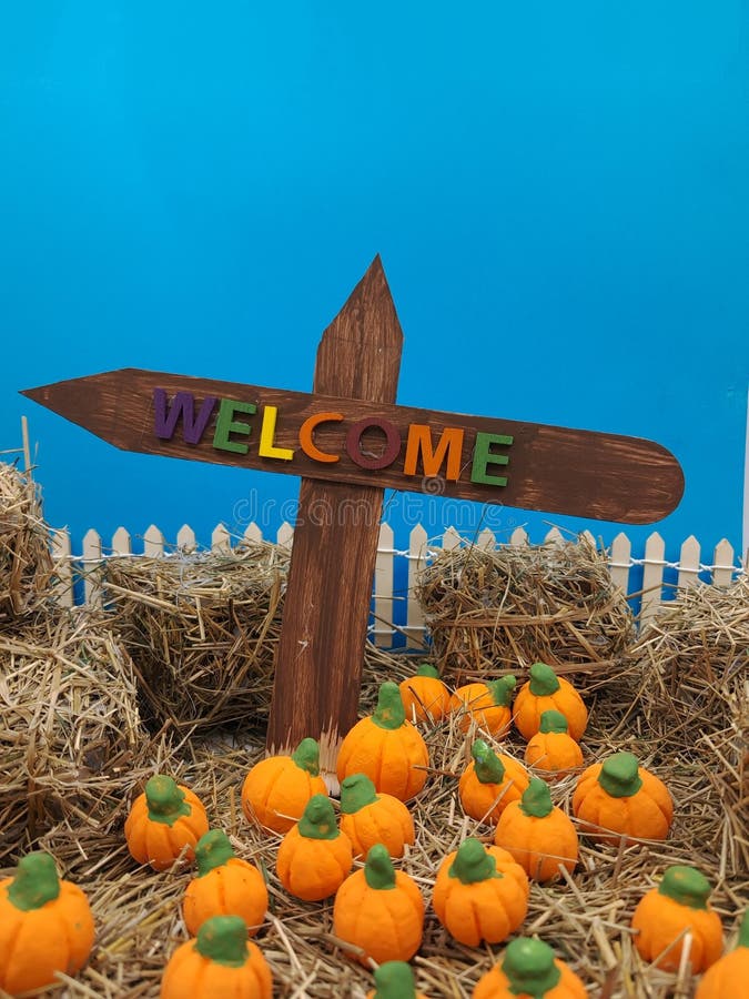 Welcome Sign in a Pumpkin Patch Stock Photo - Image of produce, food ...
