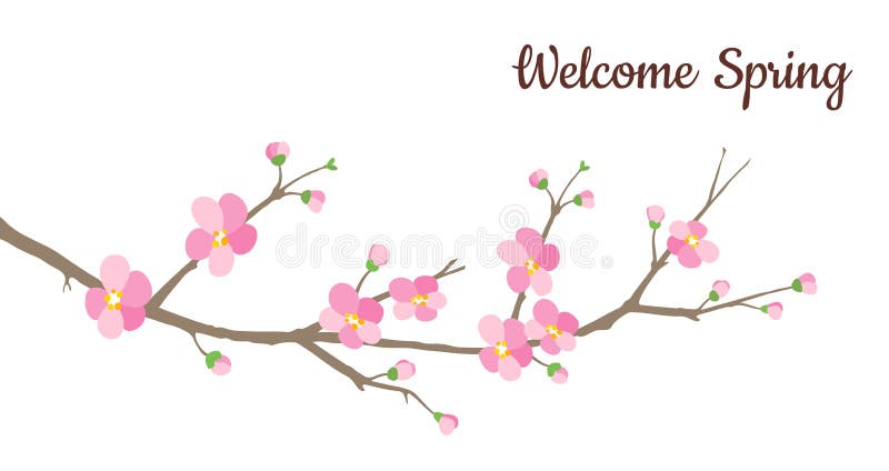Welcome Spring Card with Blossoming Japanese Cherry Branch with Pink ...
