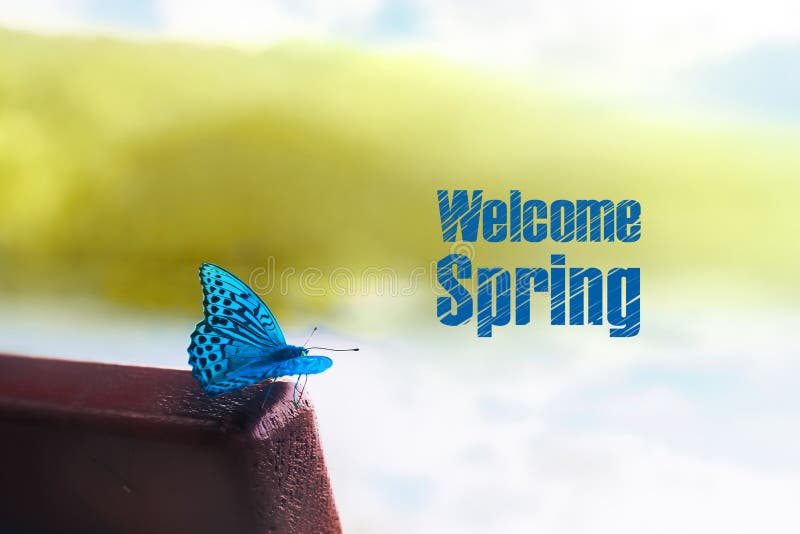 Welcome spring stock photo. Image of fauna, majestic - 197602986