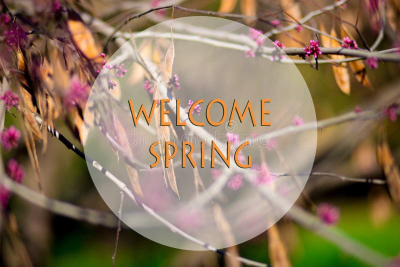 Welcome April, Message with Blooming Tree in Spring Stock Photo - Image ...