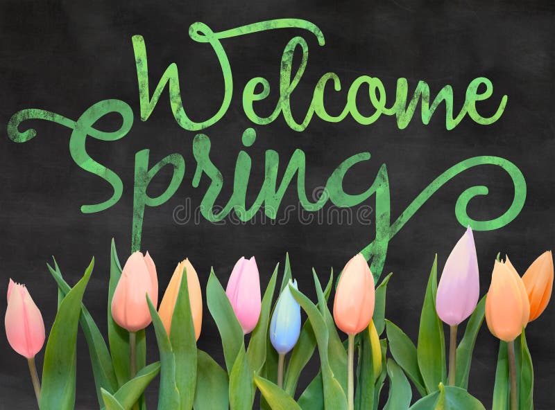 Welcome spring with tulips stock illustration. Illustration of ...