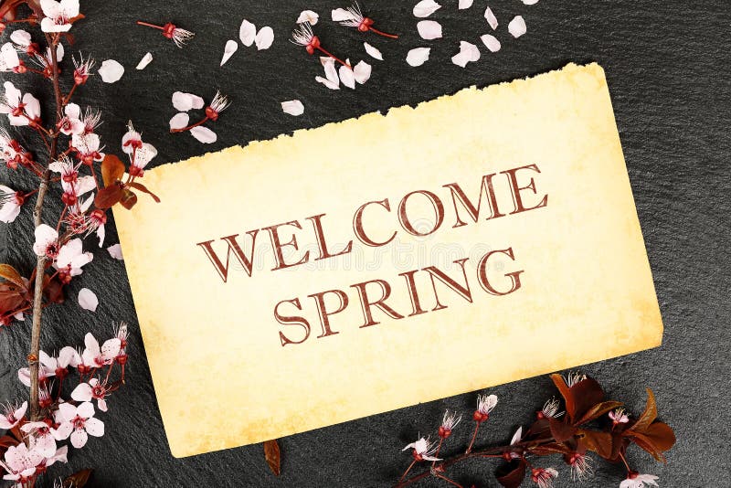 Welcome To the Spring Woodland Horizontal Stock Image - Image of life ...
