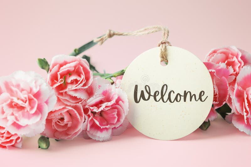 Welcome Tag with Carnation Flowers on Pink Background Stock Image ...
