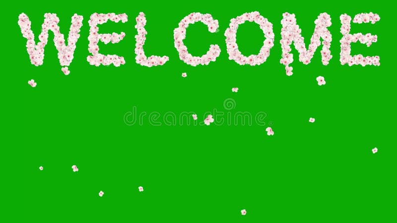Welcome Text with Cherry Flowers on Green Screen Background Stock ...