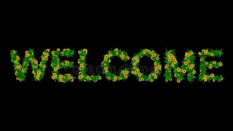 Welcome Text with Green Leaves and Yellow Daisy Flowers on Plain Black ...