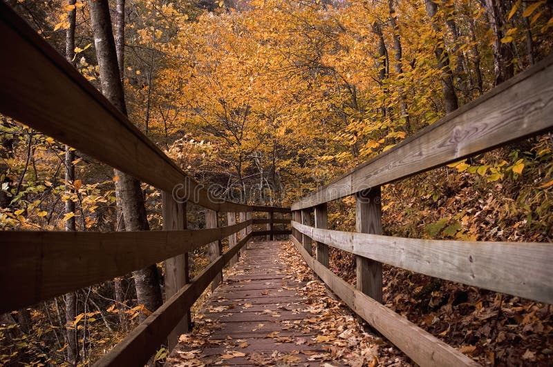 Welcome to Nature stock photo. Image of autumn, trail - 1433910