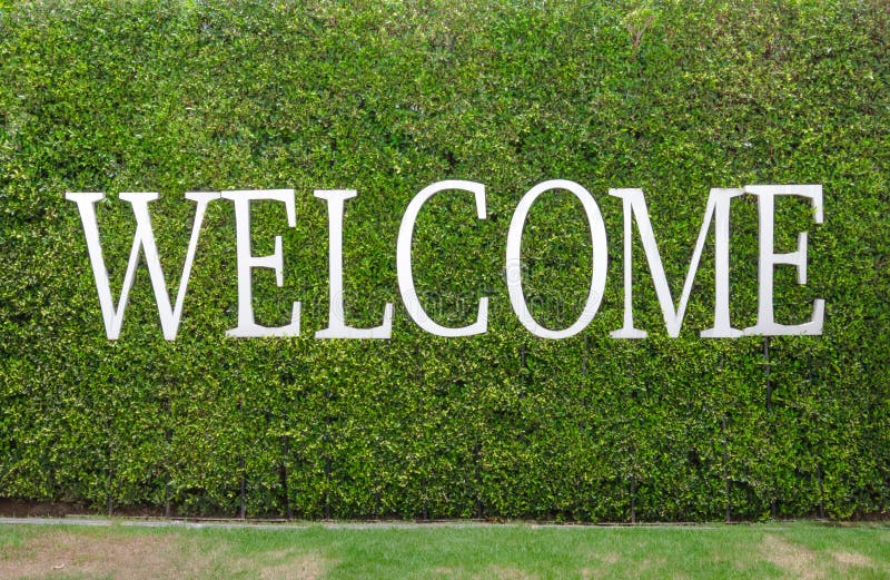 Welcome Word on Green Plant Background Stock Photo - Image of font ...