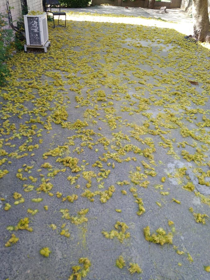 Welcome zone stock image. Image of flowers, zone, road - 90905461