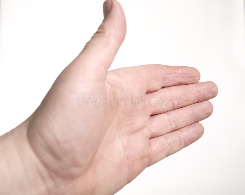 Welcoming hand stock image. Image of studio, finger, body - 11531499