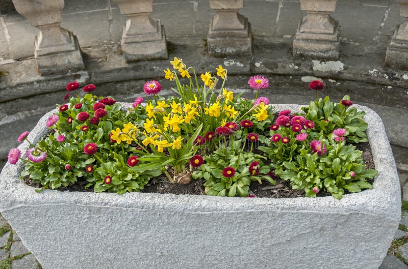 Welcoming Spring stock image. Image of decoration, spring - 39406853